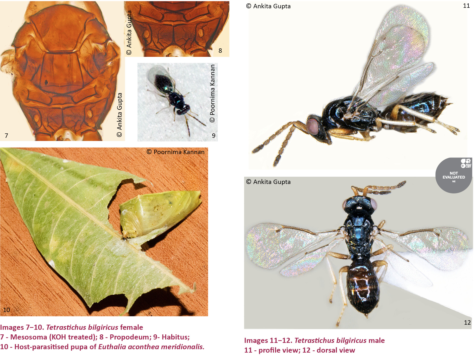 o405126xi146544-6548.html